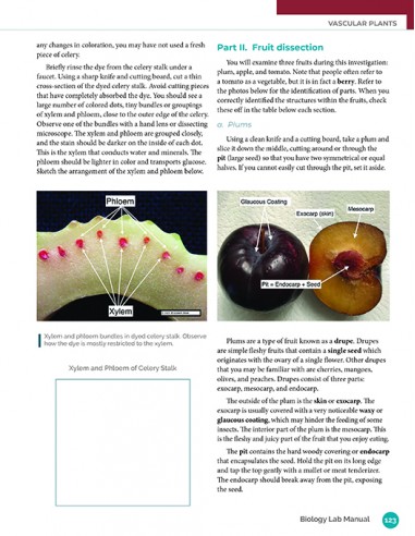 Biology for Life Lab Manual