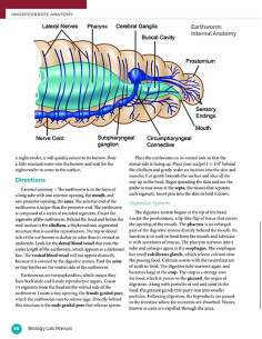 Biology for Life Lab Manual