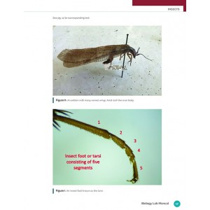 Biology for Life Lab Manual