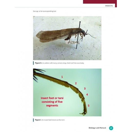 Biology for Life Lab Manual