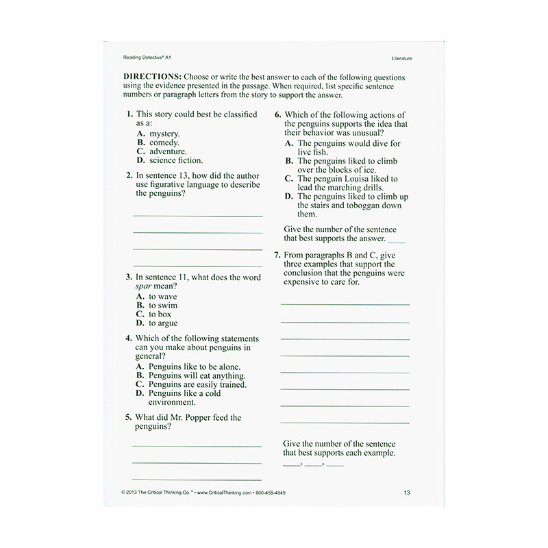 Reading Detective Level A1 (Grades 5-6)