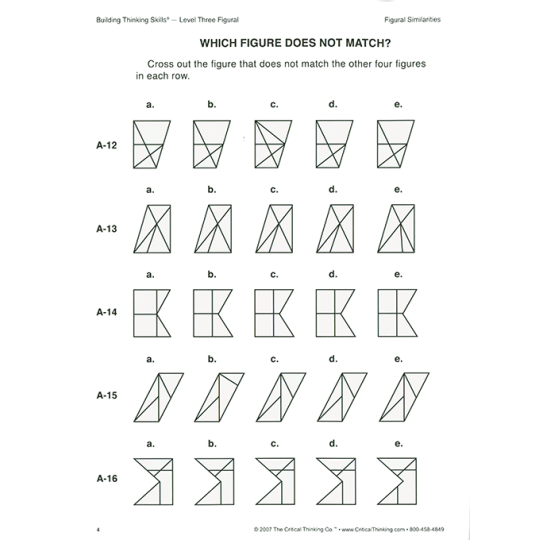 Building Thinking Skills Level 3 Figural (Grades 7-12)