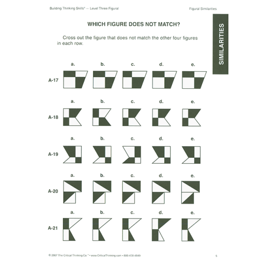 Building Thinking Skills Level 3 Figural (Grades 7-12)