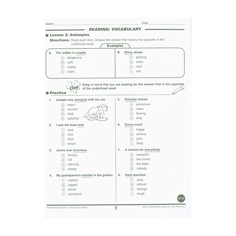 Spectrum Test Practice Workbook Grade 3