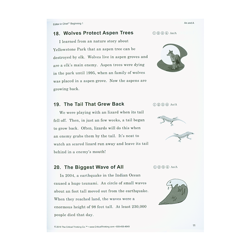 Editor in Chief Beginning 1 - Grades 2-3