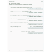 Word Roots Level 3 (Grades 7-12+)