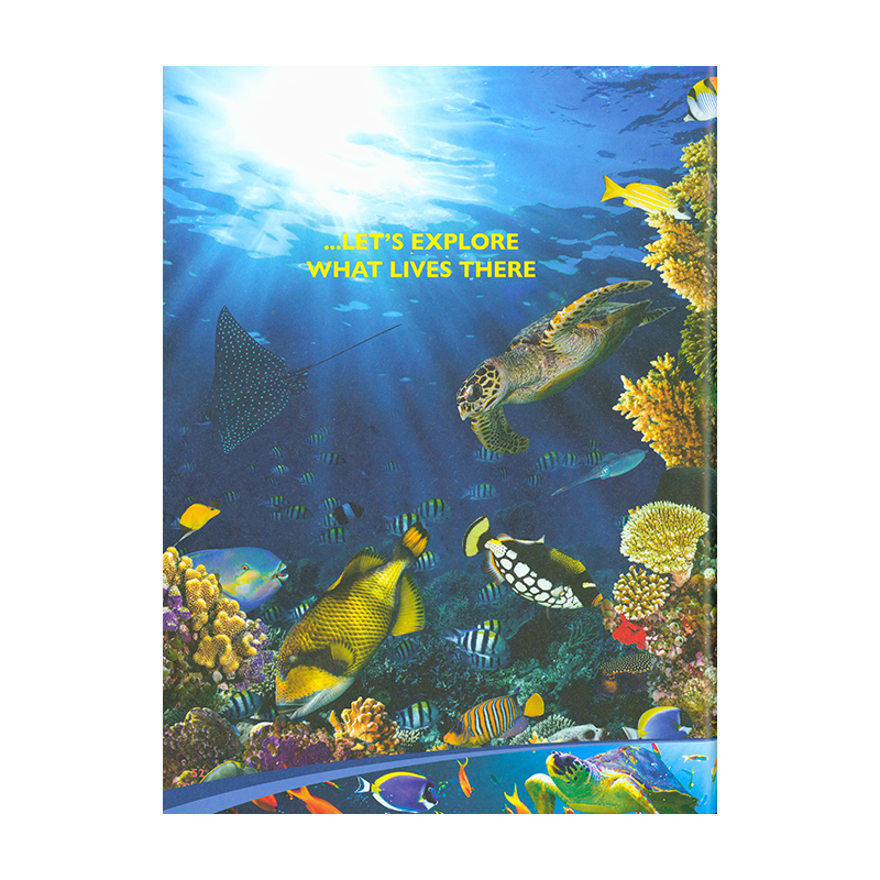 Exploring Creation with Zoology 2: Swimming Creatures (Second Edition)