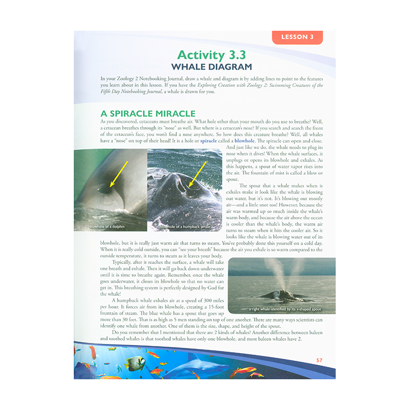Exploring Creation with Zoology 2: Swimming Creatures (Second Edition)