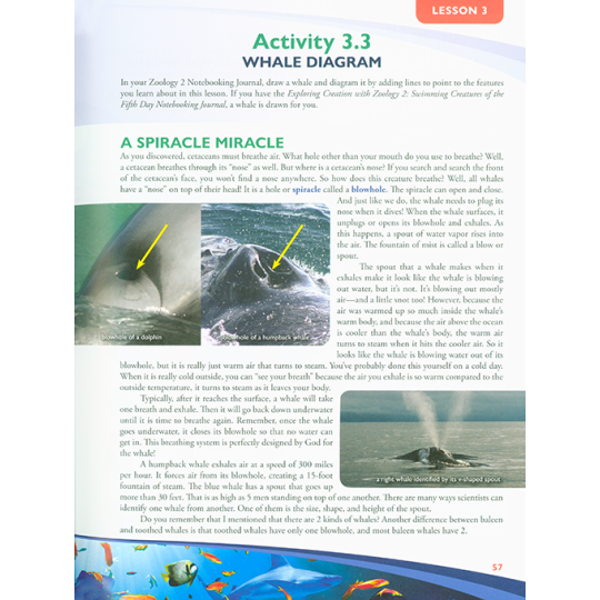Exploring Creation with Zoology 2: Swimming Creatures (Second Edition)
