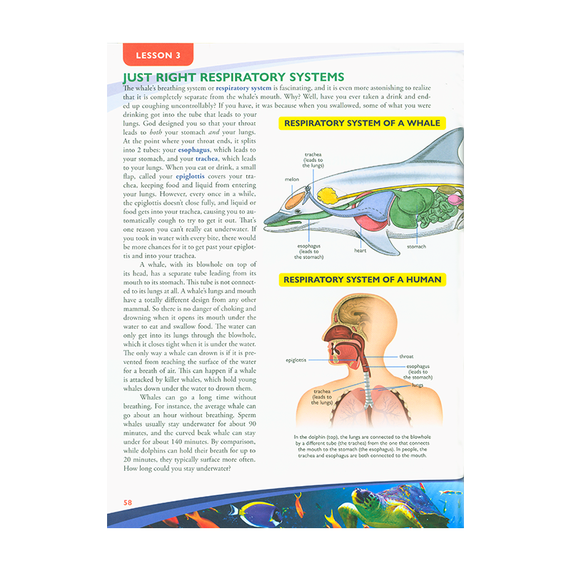Exploring Creation with Zoology 2: Swimming Creatures (Second Edition)