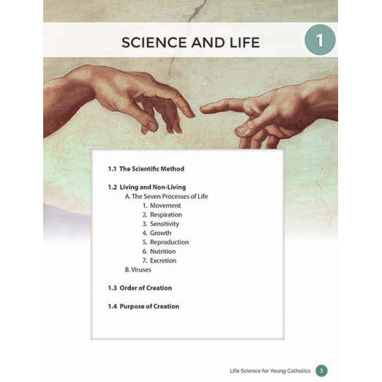 Life Science for Young Catholics