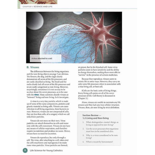 Life Science for Young Catholics