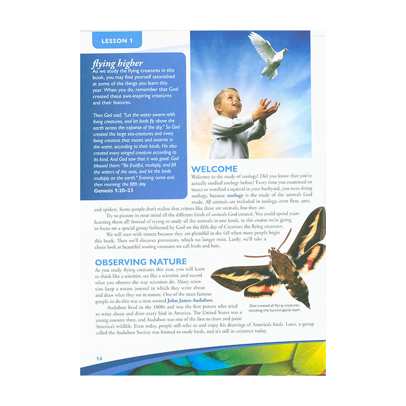 Exploring Creation with Zoology 1 (2nd Ed.): Flying Creatures