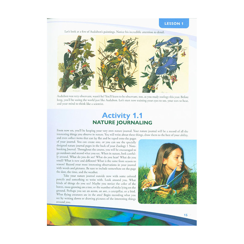 Exploring Creation with Zoology 1 (2nd Ed.): Flying Creatures