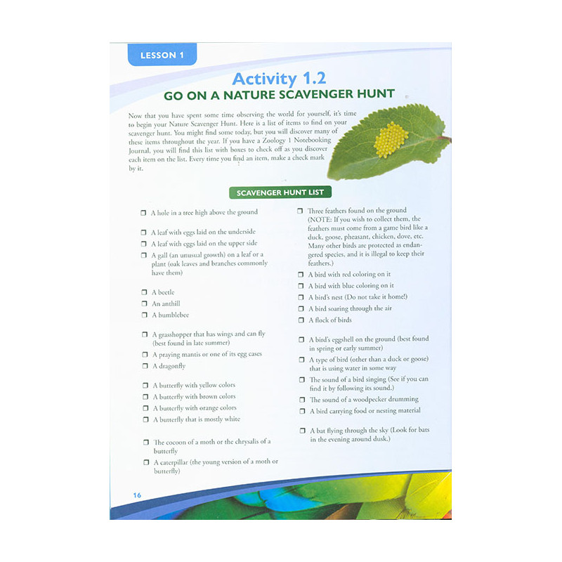 Exploring Creation with Zoology 1 (2nd Ed.): Flying Creatures