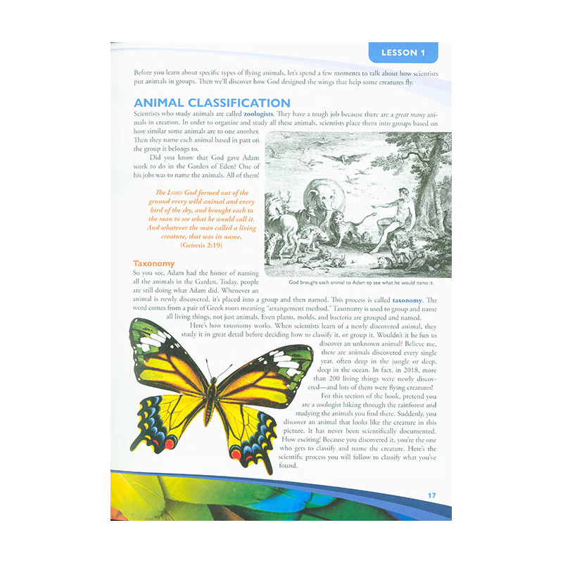 Exploring Creation with Zoology 1 (2nd Ed.): Flying Creatures