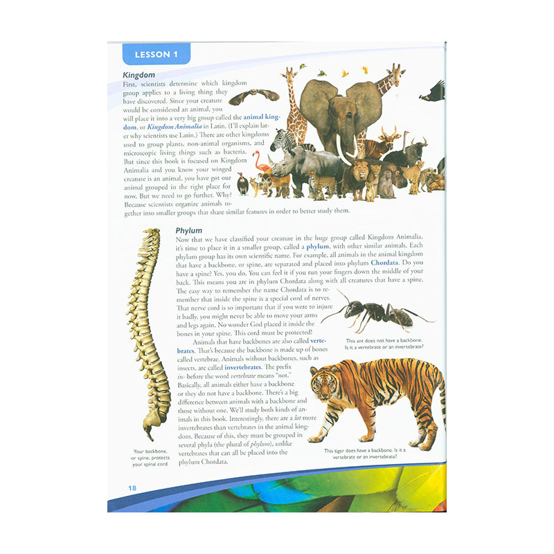 Exploring Creation with Zoology 1 (2nd Ed.): Flying Creatures