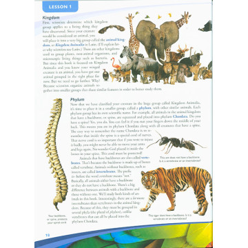 Exploring Creation with Zoology 1 (2nd Ed.): Flying Creatures
