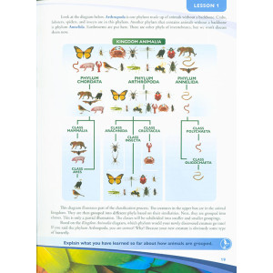 Exploring Creation with Zoology 1 (2nd Ed.): Flying Creatures
