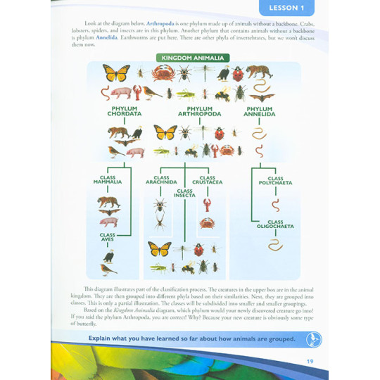 Exploring Creation with Zoology 1 (2nd Ed.): Flying Creatures