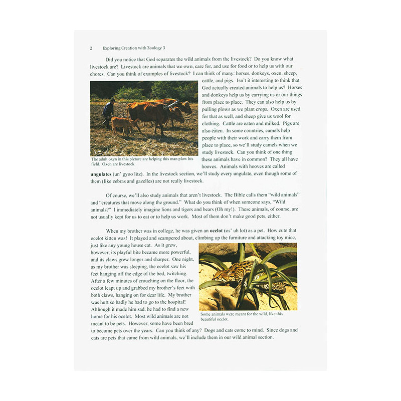 Exploring Creation with Zoology 3: Land Animals