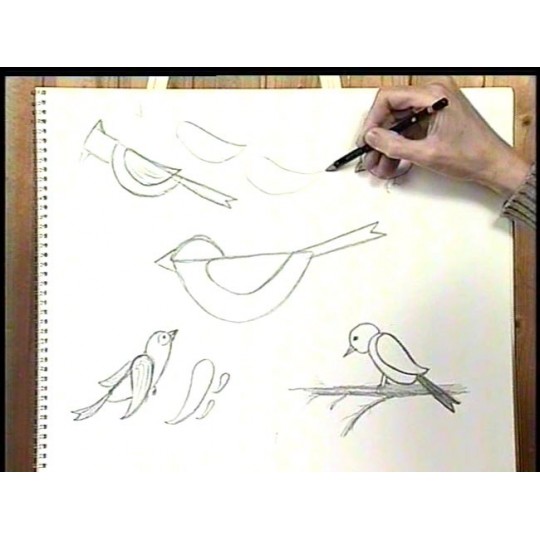 Basic Drawing Art Classes DVD