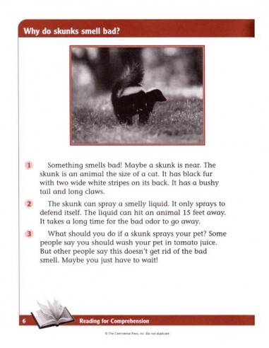 Reading for Comprehension B